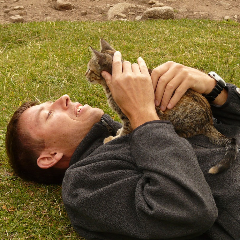What Happens When Men with Cats Show Their Feline on Dating Apps?