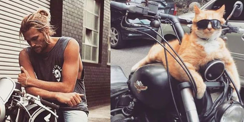 Sexy Men and Cats Pairings That Give You the Best of Both Worlds
