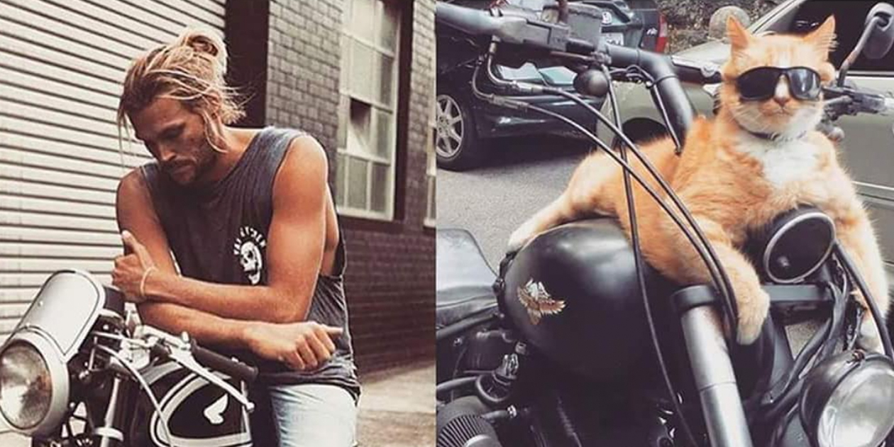 Sexy Men and Cats Pairings That Give You the Best of Both Worlds