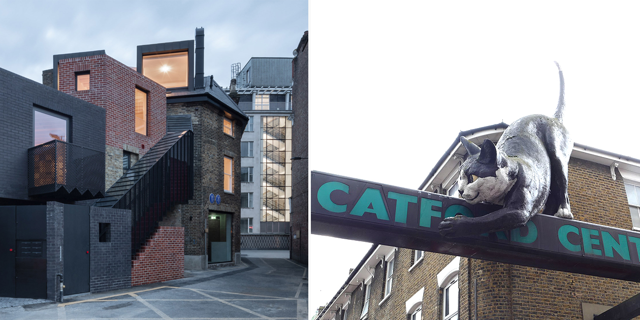 Catford Architecture Takes Inspiration from Wildcats and One Giant Cat