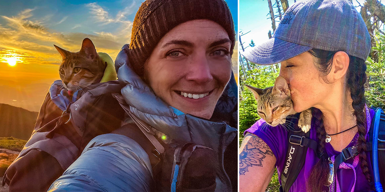Floki the Adventure Cat Climbs Mountains to Help Shelter She's From