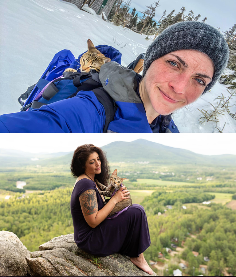 Floki the Adventure Cat Climbs Mountains to Help Shelter She's From