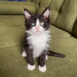 Jive and Waltz: Saved From the Streets to Live 'the VIP Life'