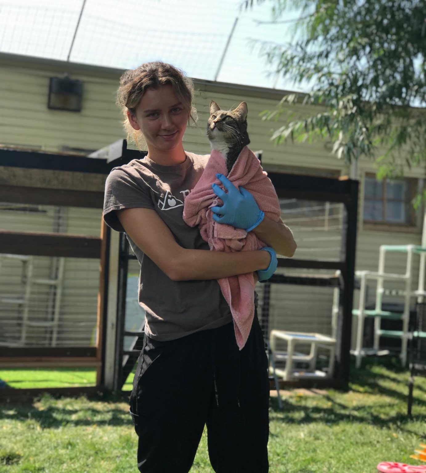 Tuck, A Sweet Kitty With Manx Syndrome Overcomes Adversity To Find His ...