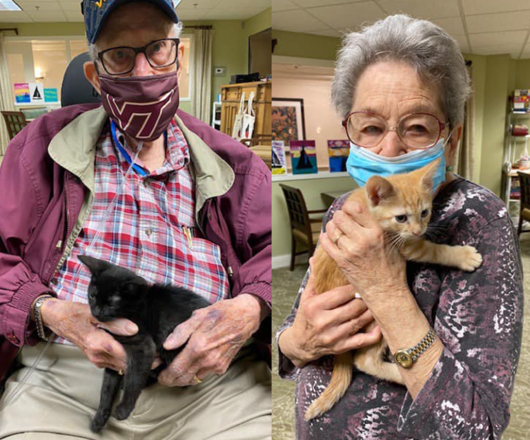 Win-Win: Seniors in Assisted Living Community Help Foster Kittens