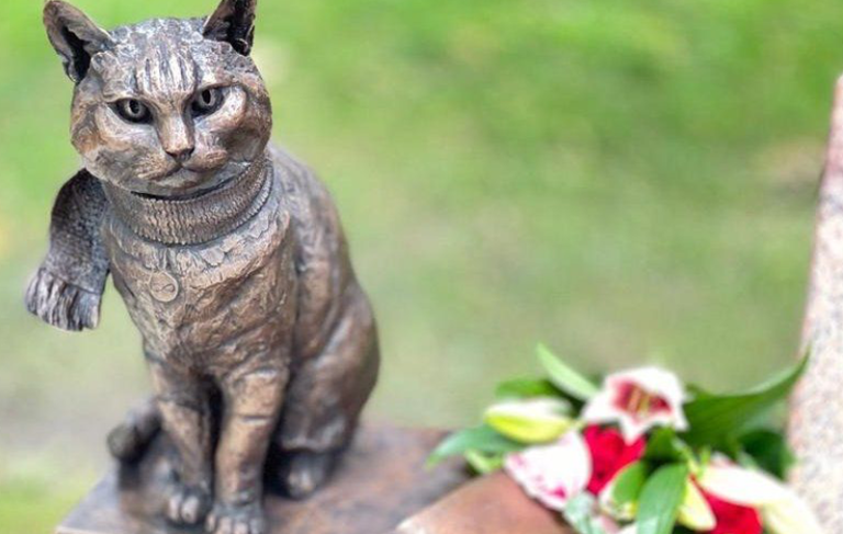 Celebrating Bob, The Beloved Street Cat Who Saved His Owner's Life