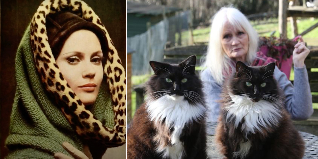 Celia Hammond Goes From Catwalks To Cat Rescue