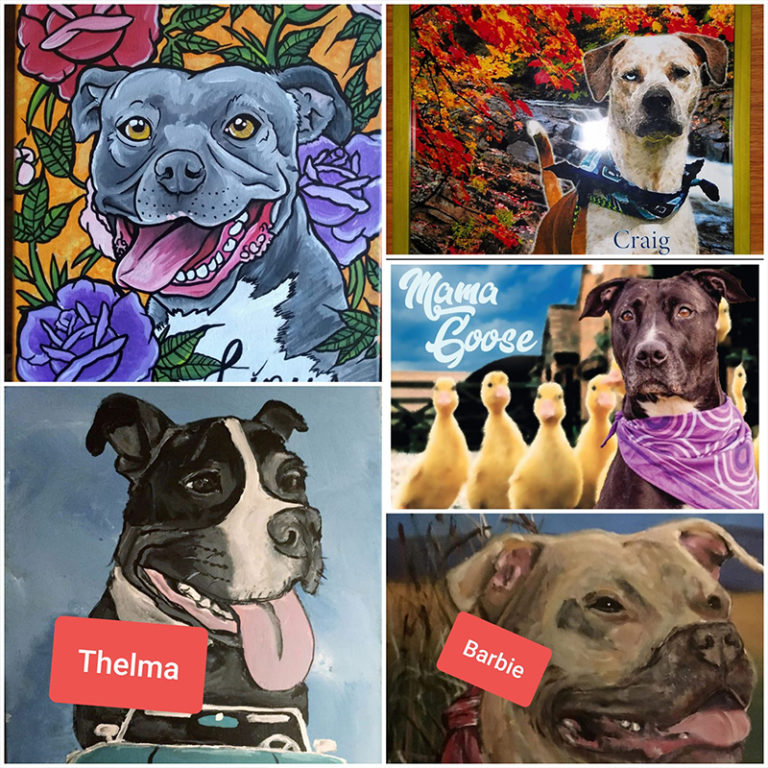 Artists Paint Pet Portraits and See Big Boost in Shelter Adoptions