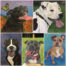Artists Paint Pet Portraits and See Big Boost in Shelter Adoptions