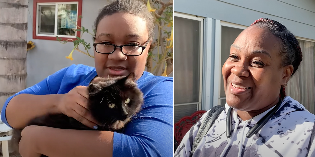 Family Overjoyed When ‘Chimney Kitty’ Climbs to Safety on a Bedsheet