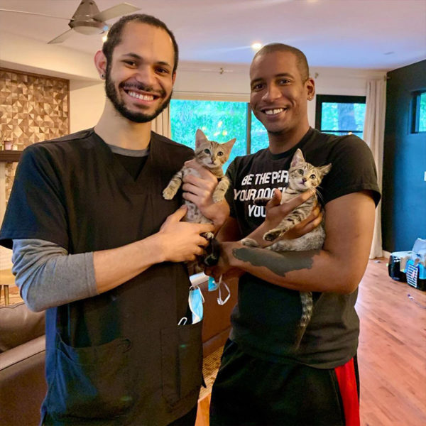 Adorable Kittens Dubbed the Chipmunk Litter Find Forever Homes