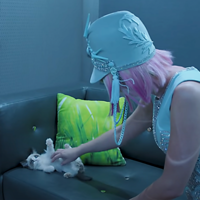 Taylor Swift Proudly Comes Out as an Official ‘Cat Lady’