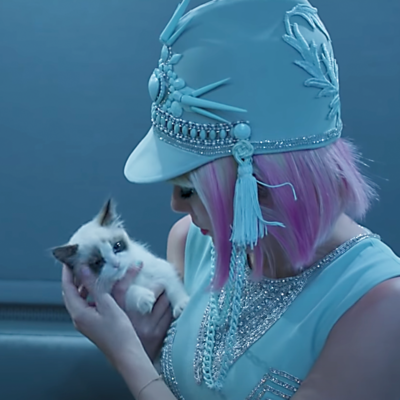 Taylor Swift Proudly Comes Out as an Official ‘Cat Lady’