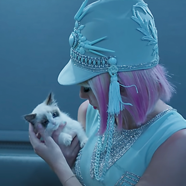 Taylor Swift Proudly Comes Out as an Official ‘Cat Lady’