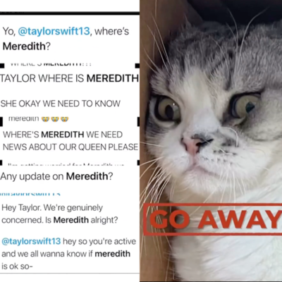 Taylor Swift Proudly Comes Out as an Official ‘Cat Lady’