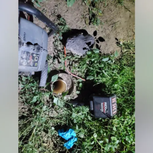 Kitten Named Gremlin Nearly Washed Away – Gets Amazing Rescue
