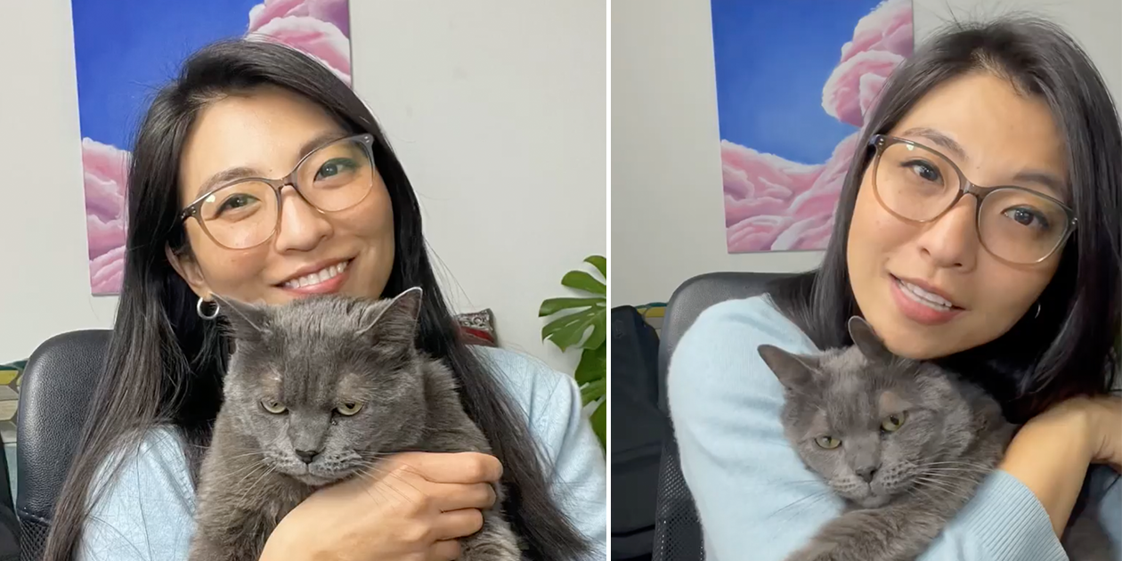 Educator Jun Shares Funny Mandarin Nicknames for Cat Owners