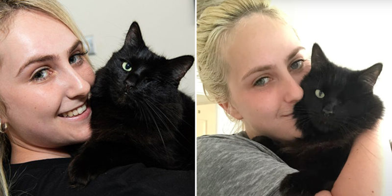 One-Eyed Stray Cat Mikey Turns Life Around for Grieving Family