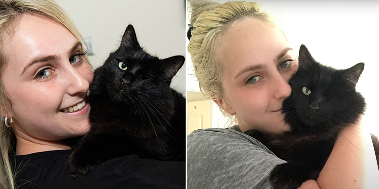 One-Eyed Stray Cat Mikey Turns Life Around for Grieving Family