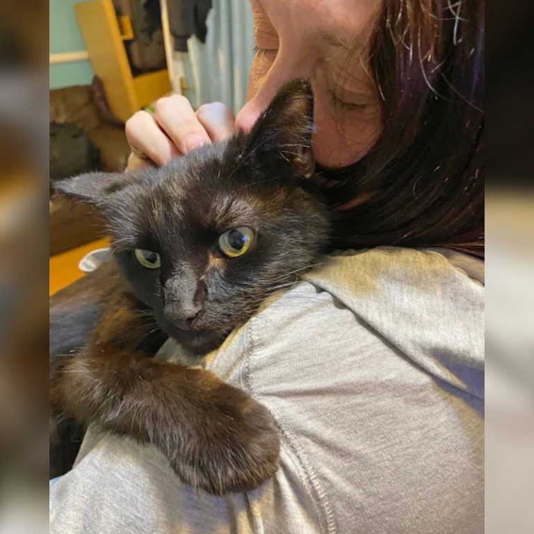 Mom Recognizes Missing Cat Barnaby While Hearing Meows Over Phone