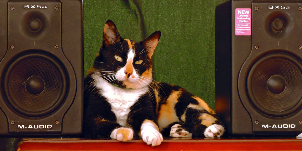 Cat Plays Music Full Blast, Wakes Up Building While Owner is Away