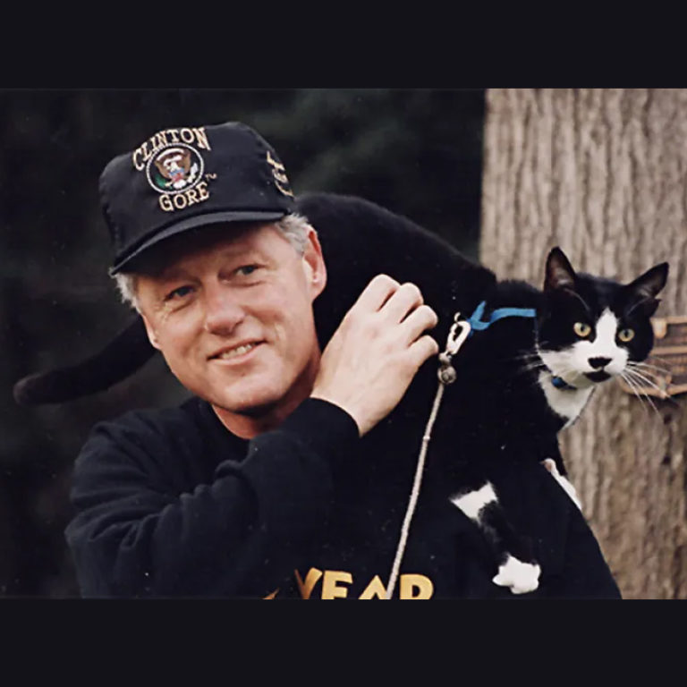 First Kitty Willow Makes Her Cute Debut At The White House