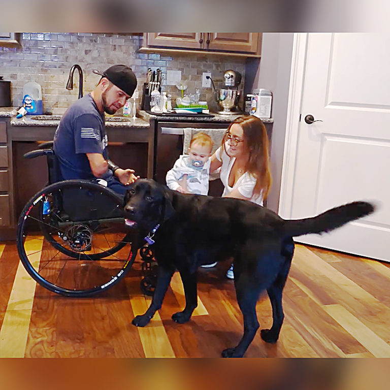Hugo the Service Dog Arrives to Help Veteran Who Struggled for Years