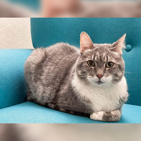 Molly, 10, Gets Makeover After Remaining in Foster Care Almost 3 Years