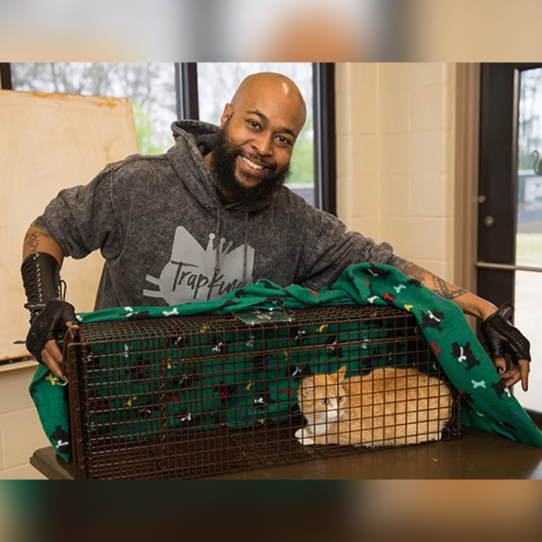 Sterling 'Trap King' Davis Joins Rescuers to Save Feral Cats in Greece