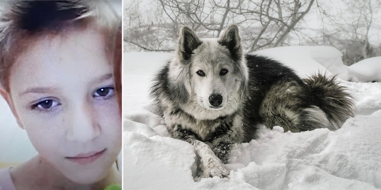 Viktoria, Age 10, Survives 18 Hours in Snowstorm with Fluffy Stray Dog