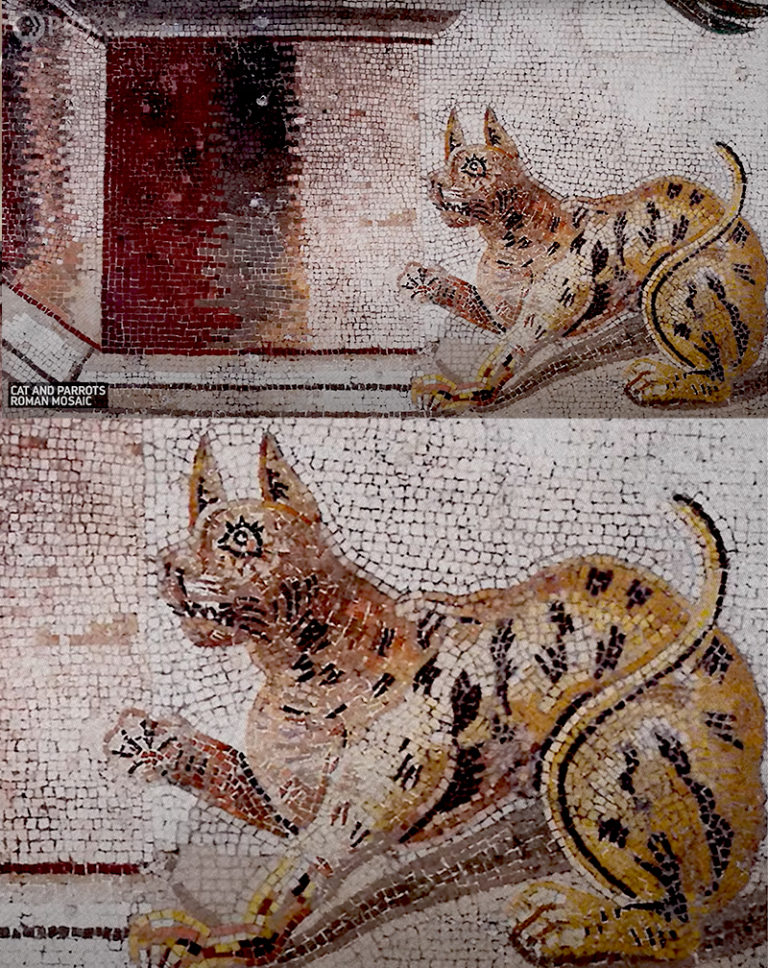 From Ancient Cats to Today, Cats Still Rule the World