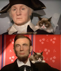 When Grumpy Cat was Immortalized at Madame Tussauds and Broadway
