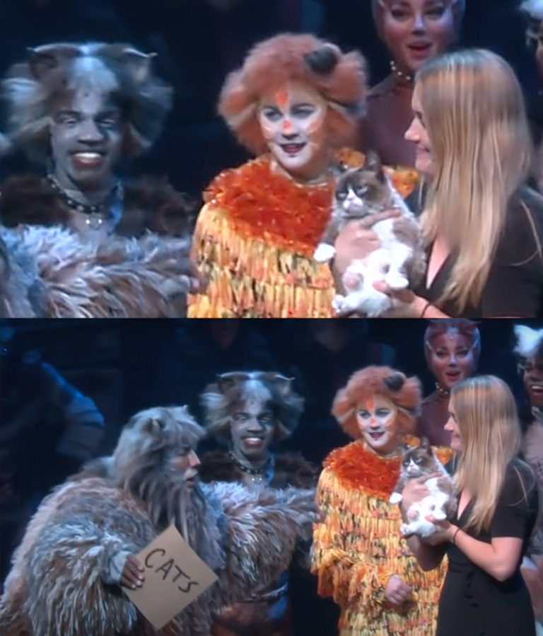 When Grumpy Cat was Immortalized at Madame Tussauds and Broadway