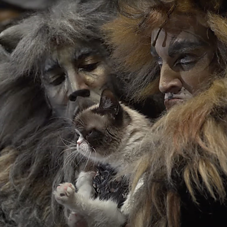 When Grumpy Cat was Immortalized at Madame Tussauds and Broadway