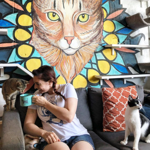 Atlanta's First Cats Café Closing, Rescuers Keep Helping Cats and People