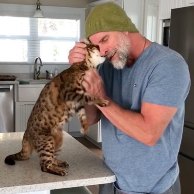 Mango Brown the Bengal's Extraordinary Loving Life with 'CatDad' & Fam