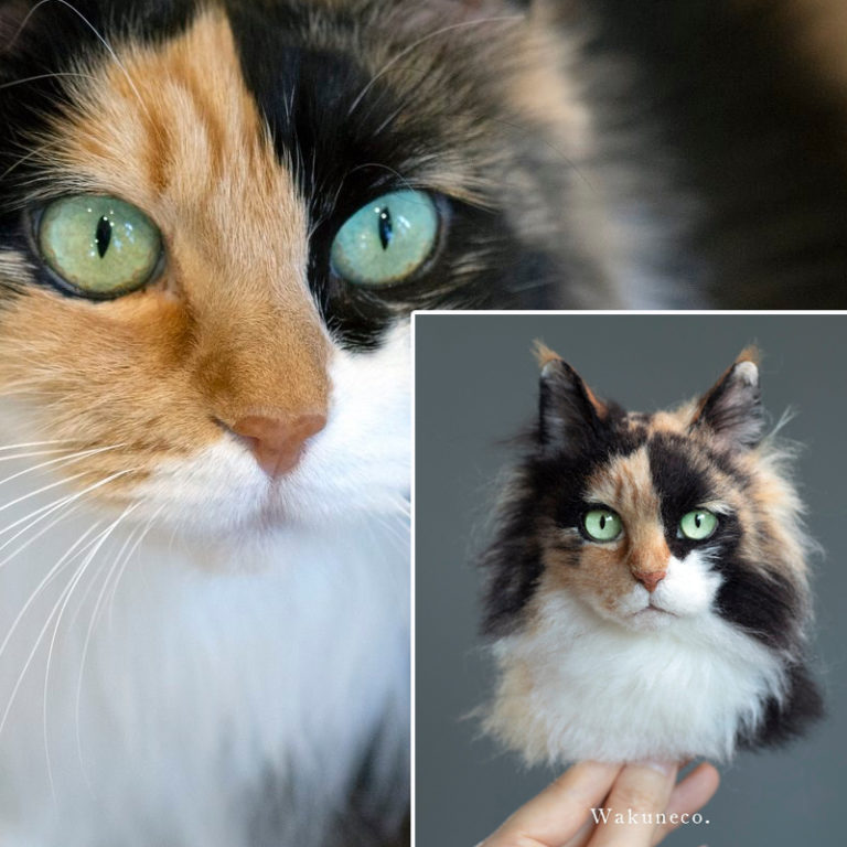 Sachi, 'Wakuneco' Artist, Creates 3-D Cat Portraits Capturing Every Detail