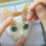 Sachi, 'Wakuneco' Artist, Creates 3-D Cat Portraits Capturing Every Detail