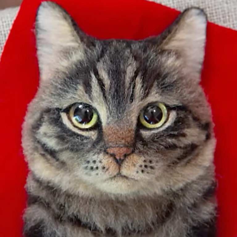 Sachi, 'Wakuneco' Artist, Creates 3-D Cat Portraits Capturing Every Detail