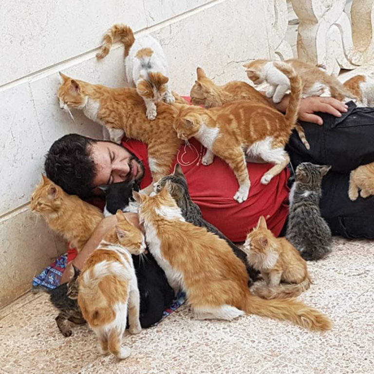 Cat Sanctuary in Syria Continues to Save Animals Like Beautiful 'Chimera'
