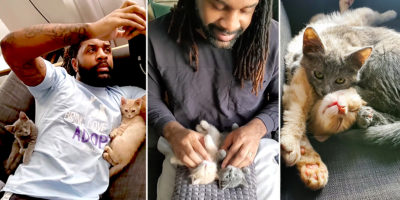 Ash and Ember Grow Up So Fast in Foster Care with Abdul's Cats