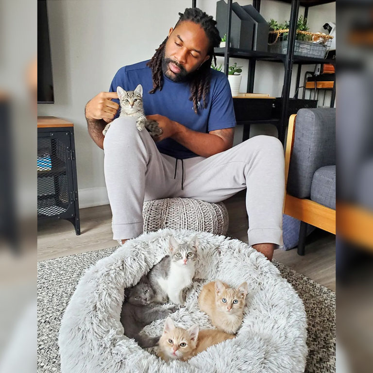 Ash and Ember Grow Up So Fast in Foster Care with Abdul's Cats