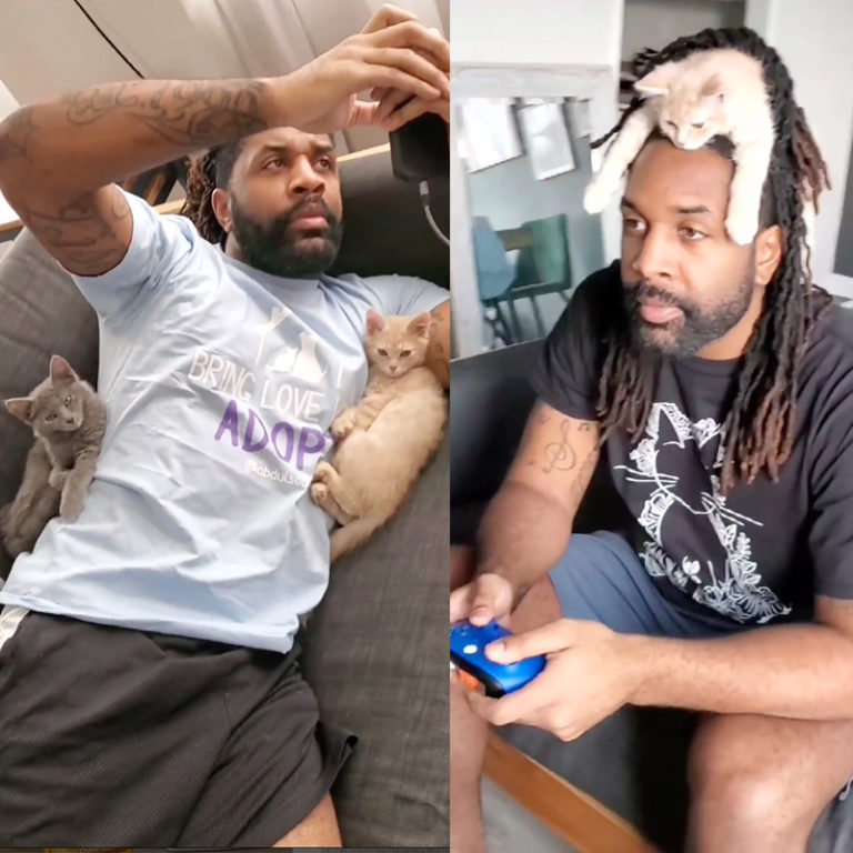 Ash and Ember Grow Up So Fast in Foster Care with Abdul's Cats