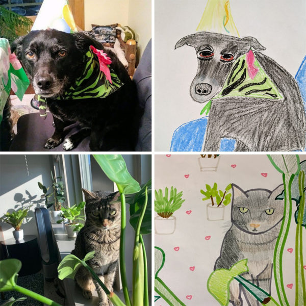 Kansas SPCA Offers 'Bad Pet Drawings' with Charming Results