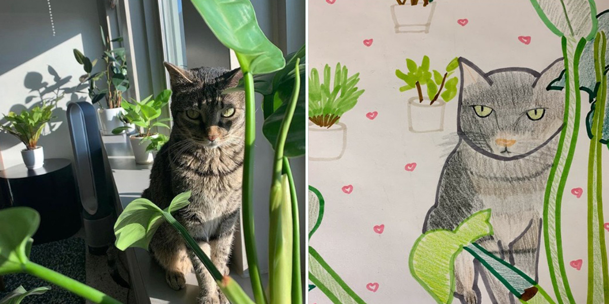 Kansas SPCA Offers 'Bad Pet Drawings' with Charming Results