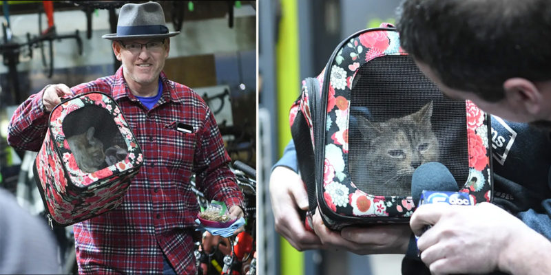 Lost in California Almost 8 Years, Ebi the Cat Reunited With Family In TN