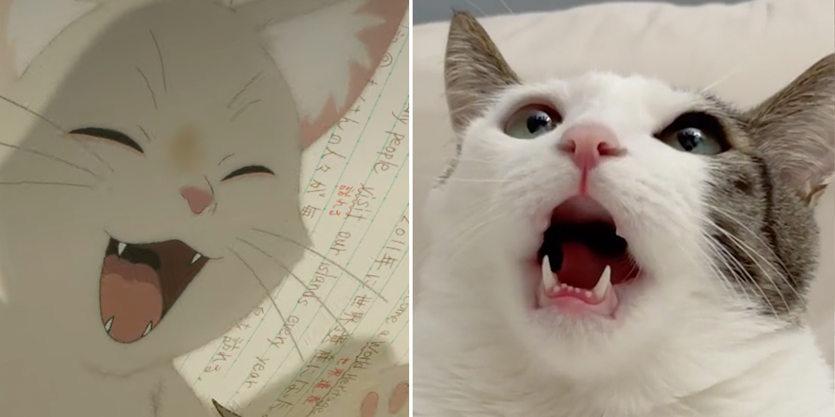 Hoseob Kim's Antics and Sounds Blurs Line Between Real Cat and Anime