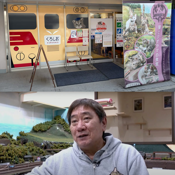 These Cats Smash Model Trains for a Living