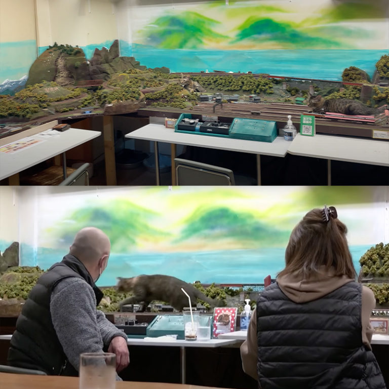 These Cats Smash Model Trains for a Living