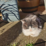 21-Year-Old Morag Ends Up in Shelter, Becomes Internet Sensation